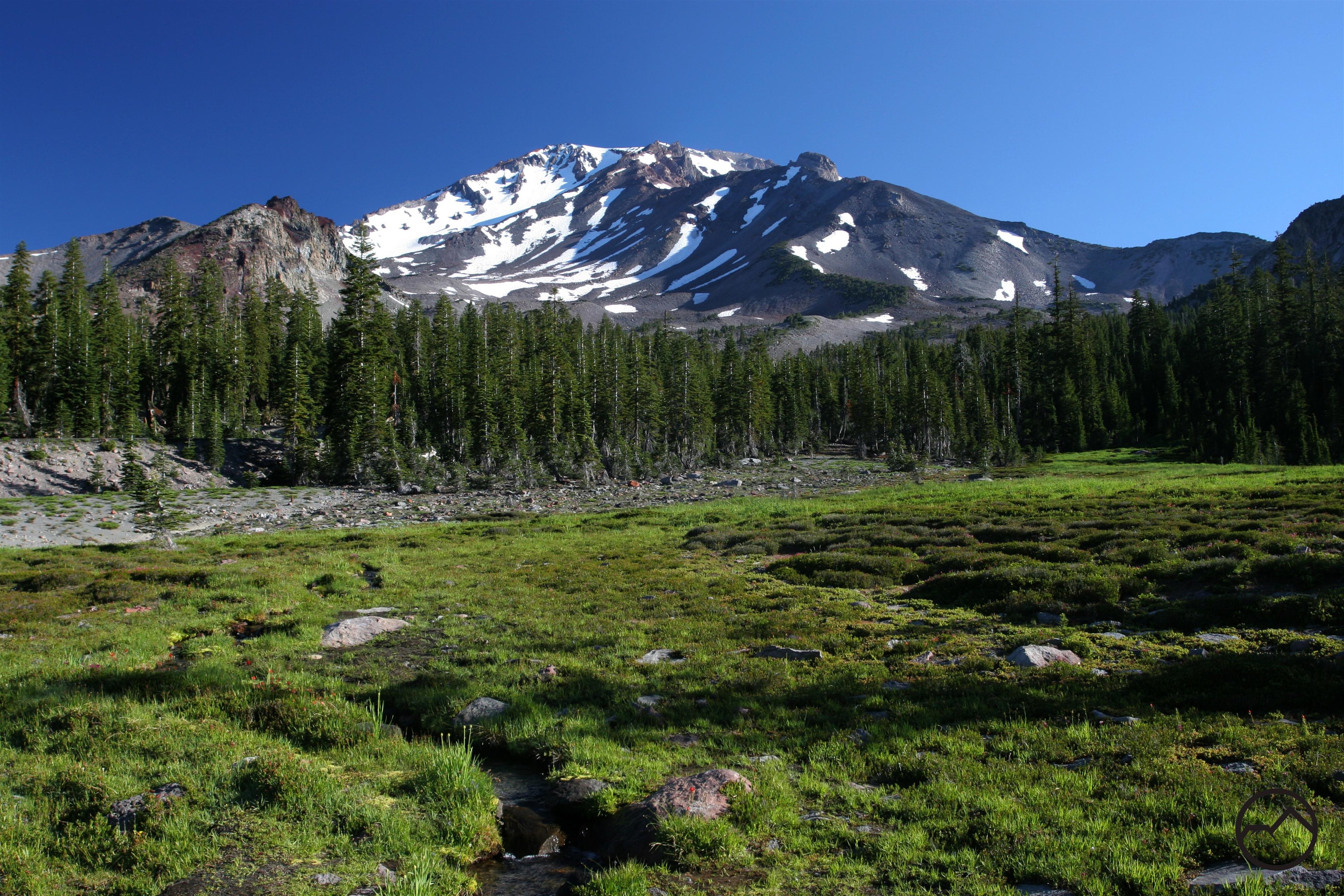 Gray Butte Trail - Shasta-Trinity National Forest | GoHiker.ai